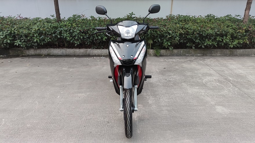 YAMAHA C8 C9 SIRIUS 110